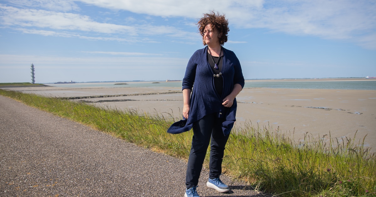 Claim tegen 3M, als PFAS-slachtoffer? Zeker niet kansloos, zegt Zeeuwse letselschadeadvocaat ...