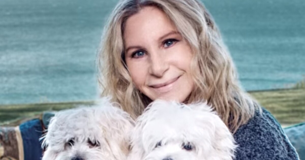 Barbra Streisand heeft favoriete schoothondje met succes laten klonen ...