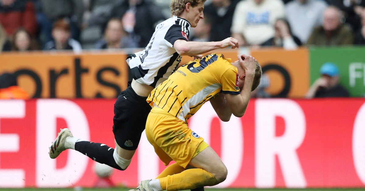 Hoofdrol voor Van Hecke bij FA Cupduel van Brighton, in kwartfinale ...