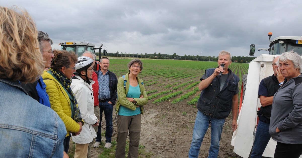 Wie de enige boerenkoolteler van Zeeland is en hoe een dikbil bevalt ...