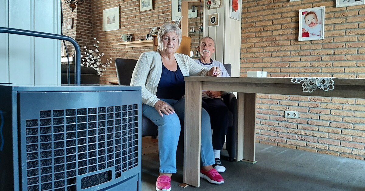 In de Terneuzense schilderswijk liggen de laminaatvloeren in de ...