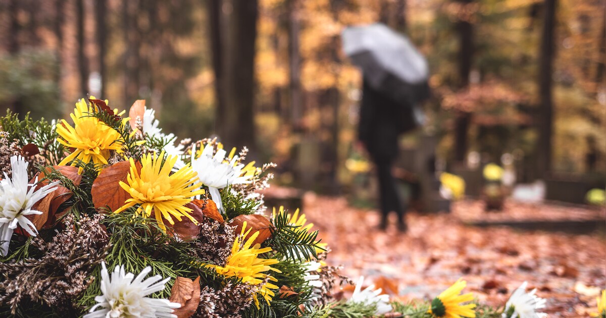 Groede Podium houdt Herfst in 't Park met diverse activiteiten | Sluis ...