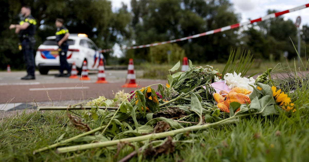 Ongeloof bij hartsvriendinnen van ‘lieve, mooie’ Lisa (17): ‘Haar lach stak erbovenuit ...