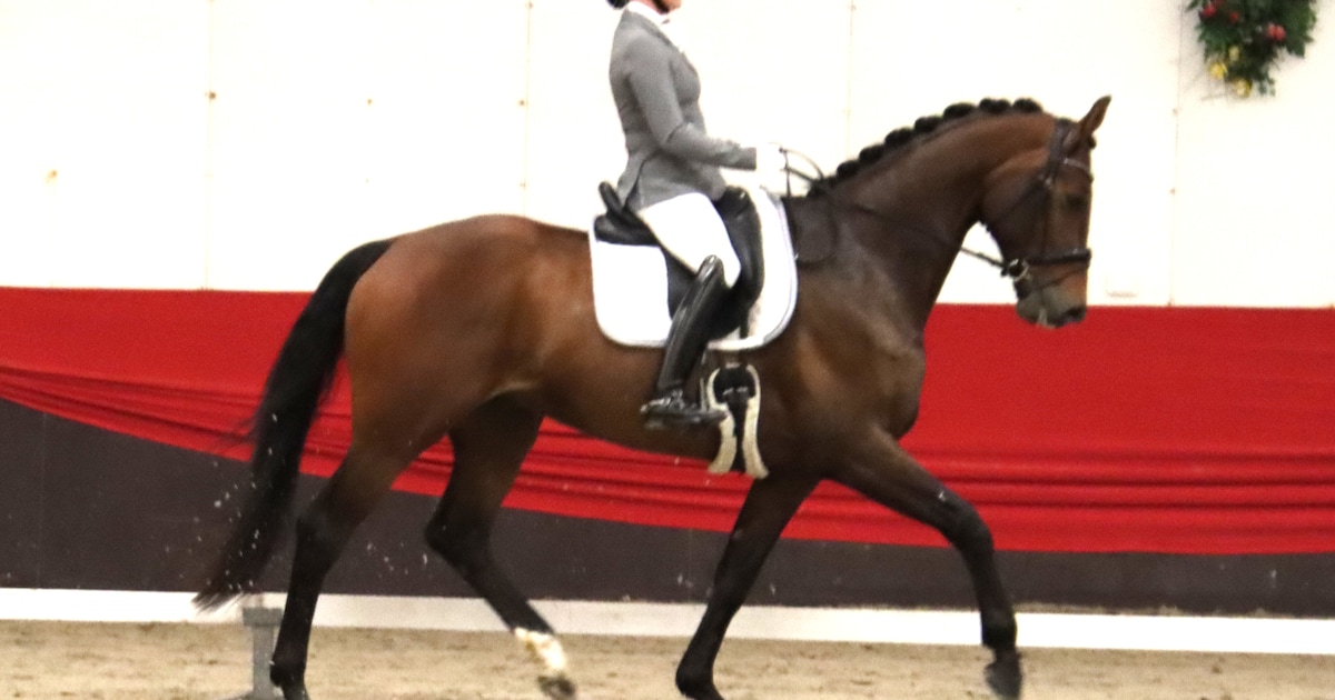 Ellen van Turnhout kent met de ruin Ovicii Satori goede afsluiting van ...