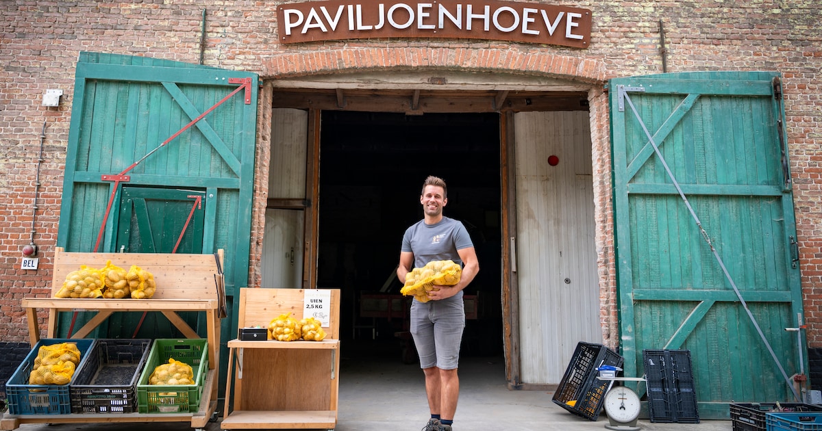 Overschotten drukken de prijs, maar zegt boer Gian (33): ‘Ik vertrouw ...