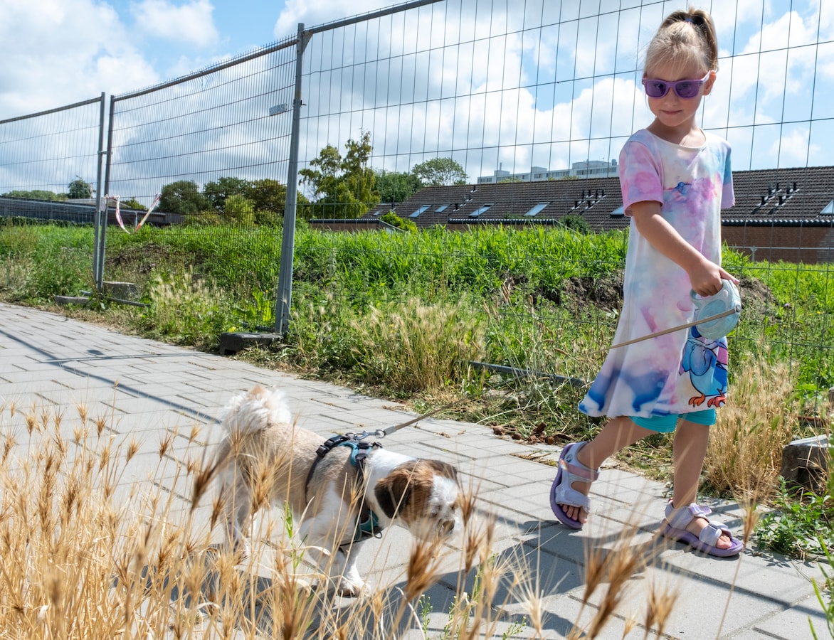 Grasaren zijn levensgevaarlijk voor honden en katten: ‘Hij moet ...