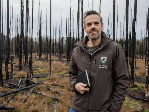 Zeldzame insecten en zwammen genieten juist van een natuurbrand ...