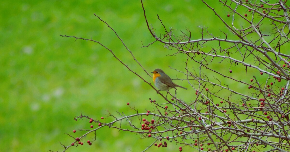 MIJN FOTO | Daar komt de winter, kijk maar | Van de lezer Zeeuws nieuws ...