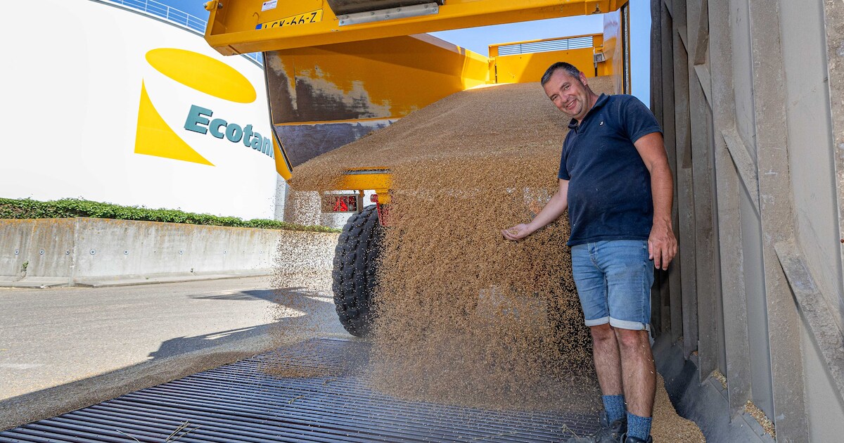 CZAV gaat na fusie verder onder nieuwe naam | Regio | PZC.nl