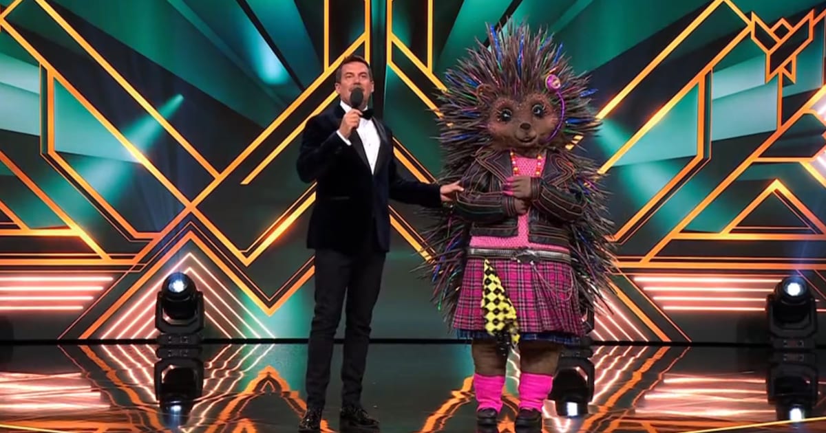 Alle hints voor finale The masked singer op een rijtje: wie schuilen er ...