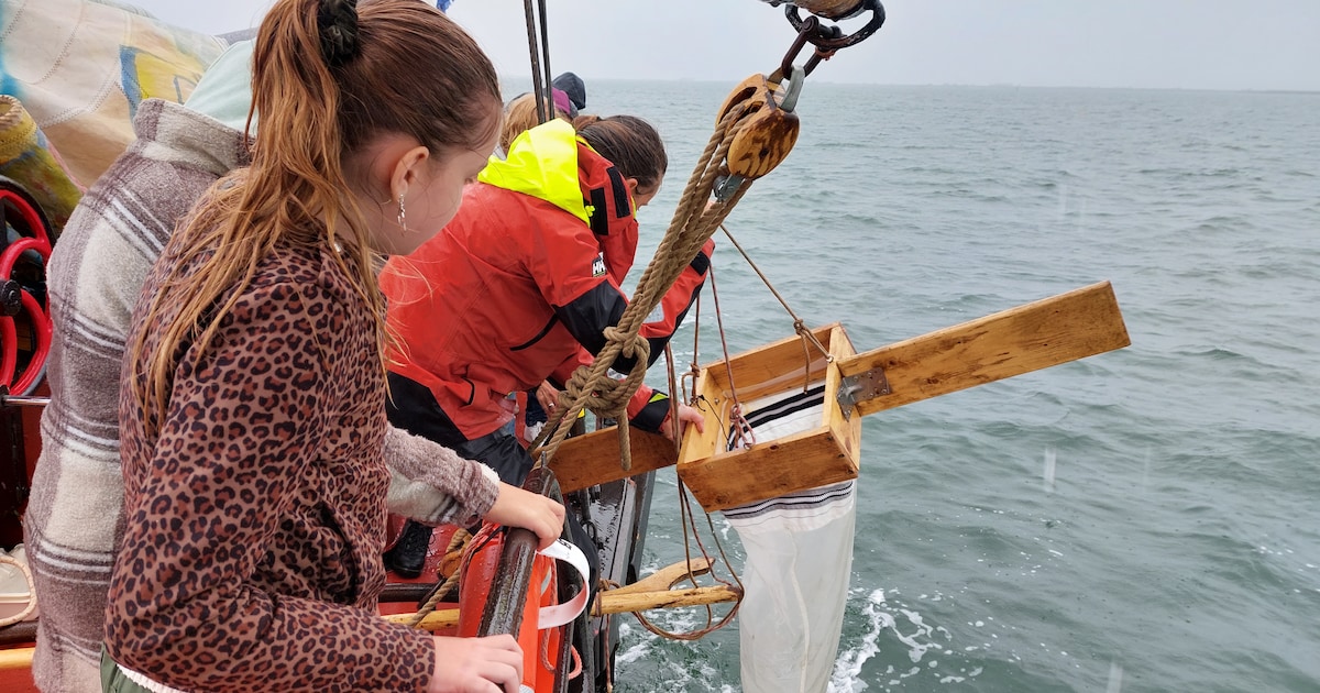 Een visvaartocht met geen vis, maar plastic in de netten | Schouwen ...