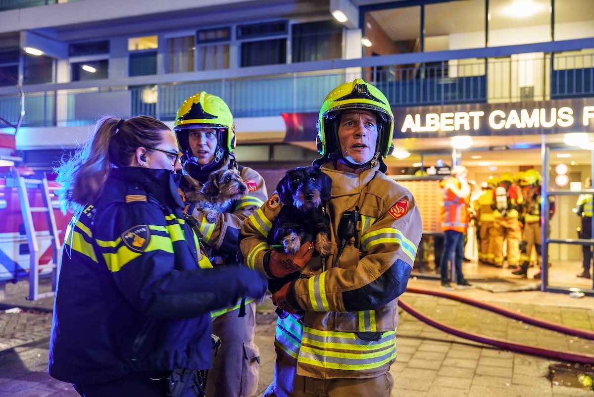 Moeder en zoons vieren jaarwisseling bij oma, hun huis brandt af en ...