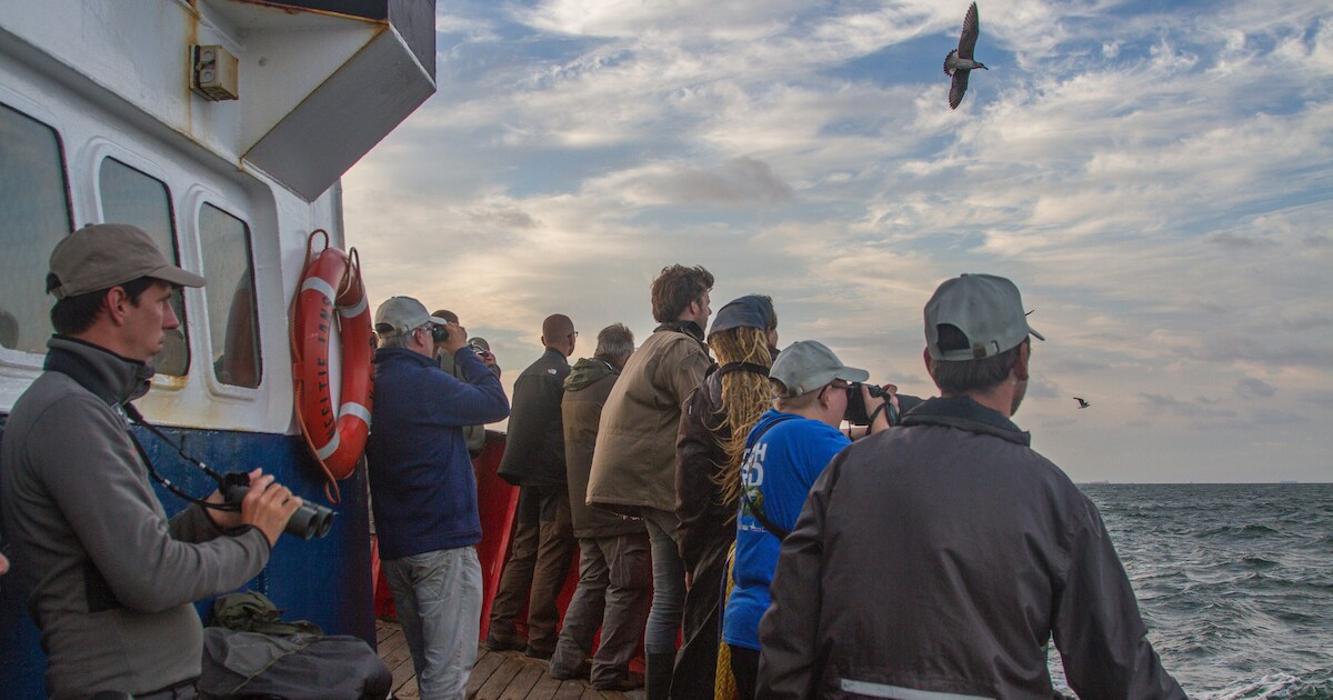 De boot deint en het ruikt naar diesel, zout en rotte vis: voor ...