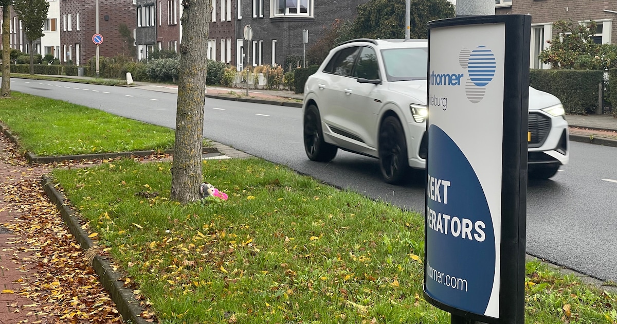 Vlissingen onderzoekt veiligheid reclameborden: ‘Maar we nemen afstand ...