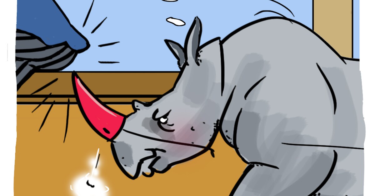 Oproep van de nar aan alle Krabbekes: ‘zet je grootste neus op ...