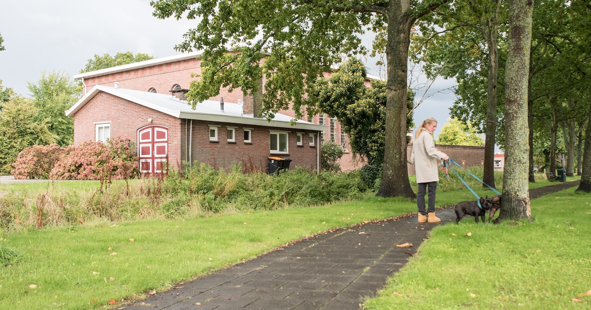 Aankoop katholieke kerk Haamstede baant de weg voor bouw nieuwe Market ...
