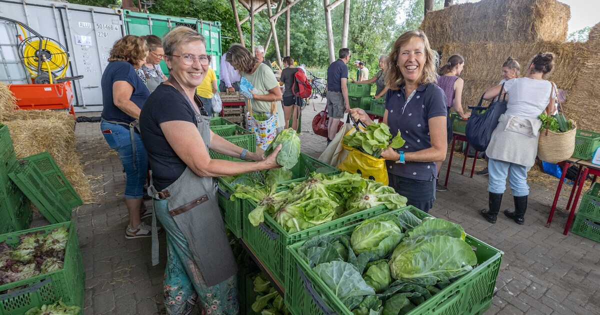 190 gezinnen eten van rijke oogst Herenboerderij in 's Heer Abtskerke ...