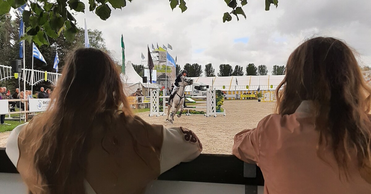 MIJN FOTO | Hop, hop, hop paardje in galop | Van de lezer Zeeuws nieuws ...