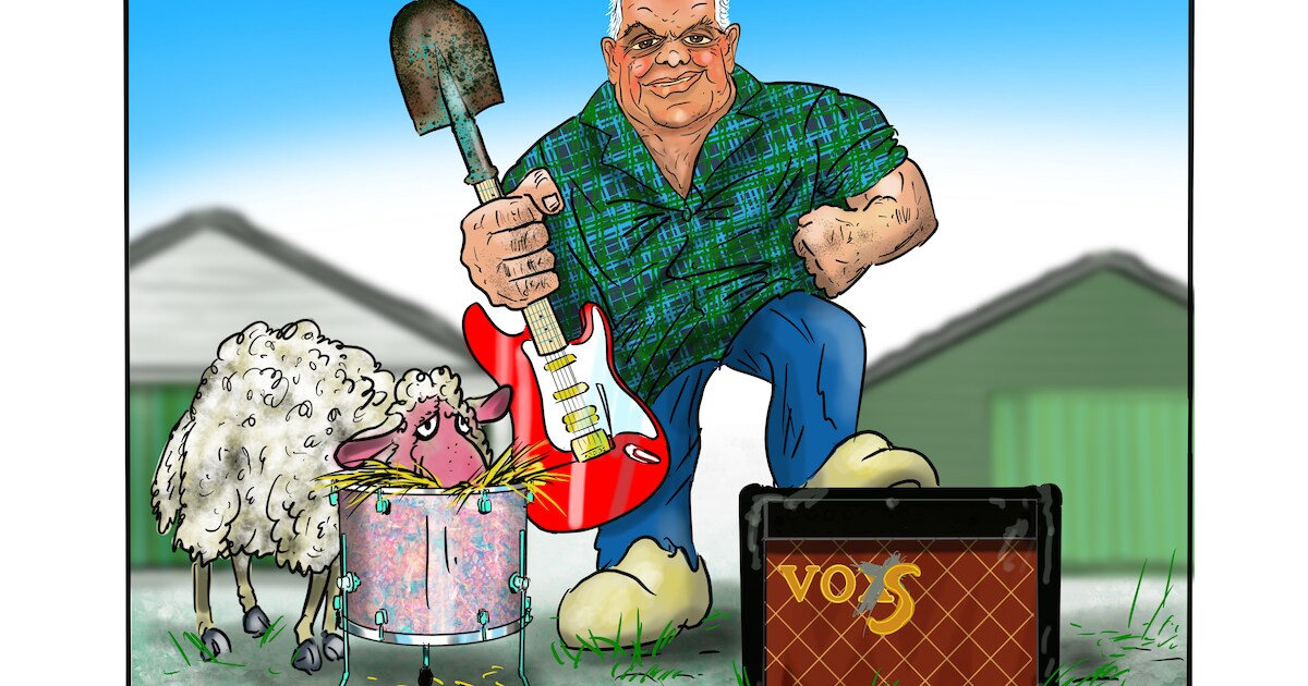 Kan gedeputeerde De Bat de popboerderij van Boer Vos redden? Cartoonist ...