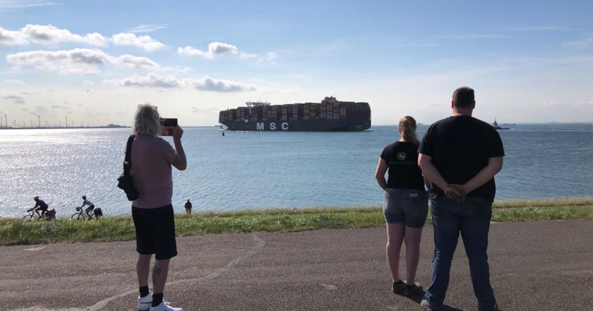 Recordbrekend containerschip MSC Diletta trekt veel bekijks in Zeeland ...