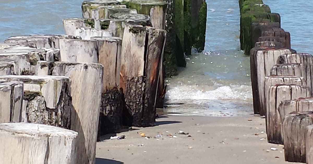 Vlonders op strand Breskens stap te ver | Zeeuws-Vlaanderen | PZC.nl