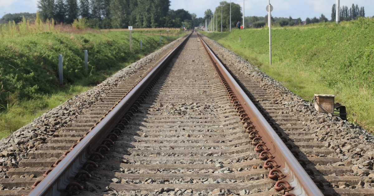 Elke weekend werken aan treinspoor in Berendrecht- Zandvliet-Lillo tot ...
