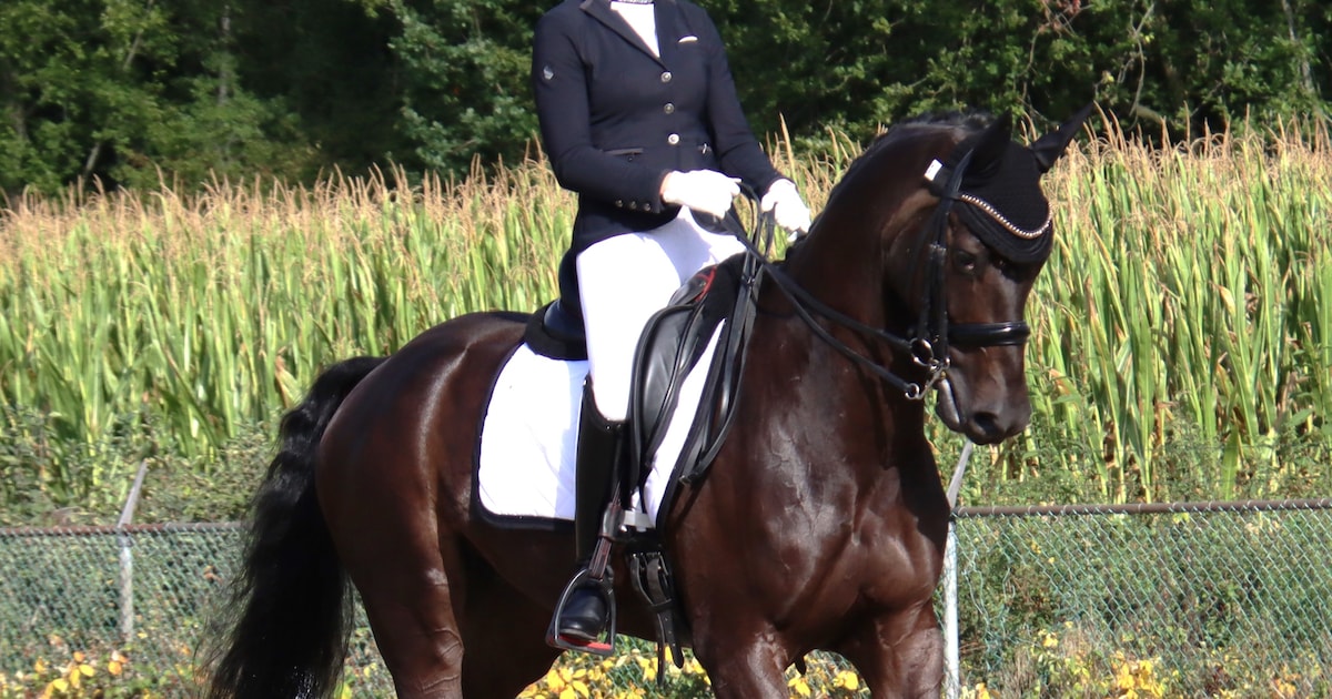 Amazone uit Axel heeft Louis binnen een maand onder controle | Sport in ...