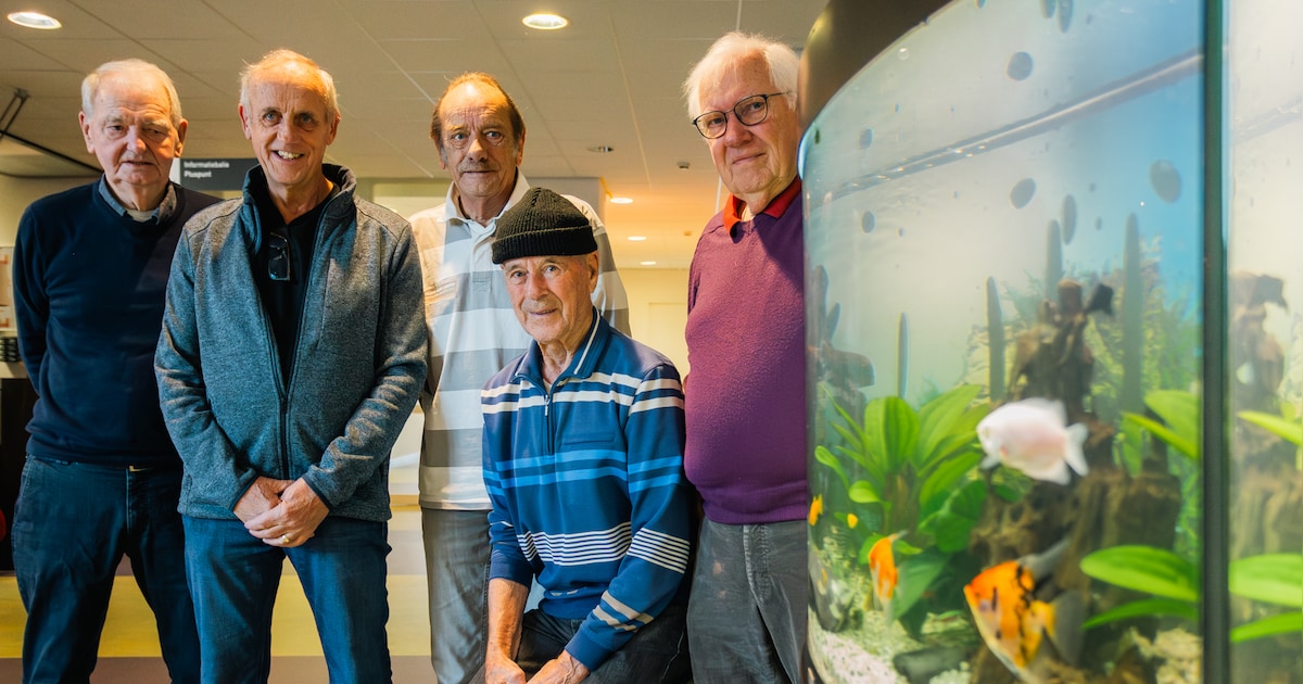 Tropische 'Nemo en Dory' verlaten het Visserijmuseum, maar zijn hits in ...