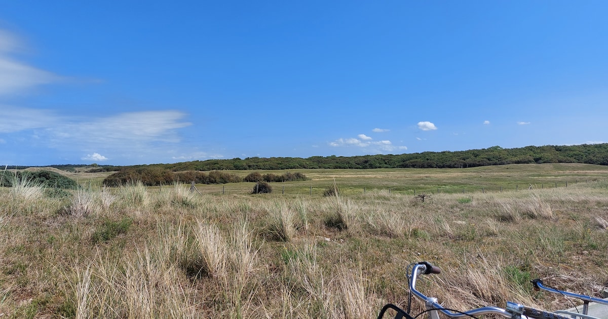 Excursie door de Manteling in Oostkapelle: ontdek natuur en historie ...