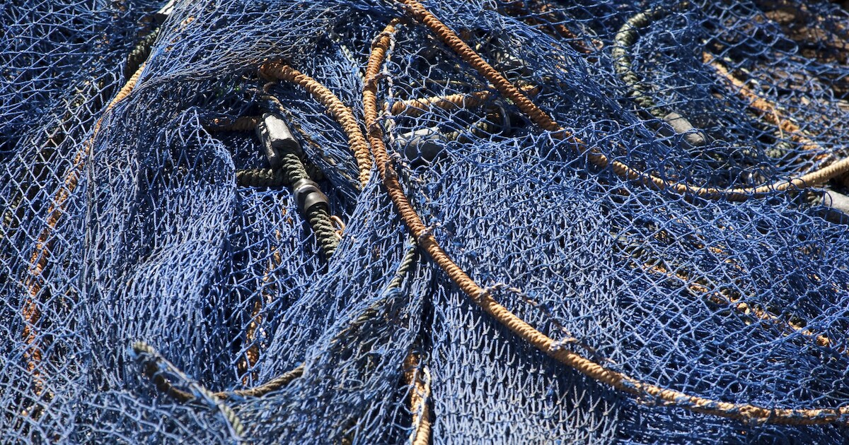 Fuiken van beroepsvissers kapot gesneden in Den Osse | Schouwen ...