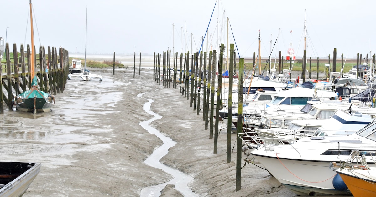 Haventje Paal en omgeving krijgen opknapbeurt, kosten: 2 à 3 miljoen ...