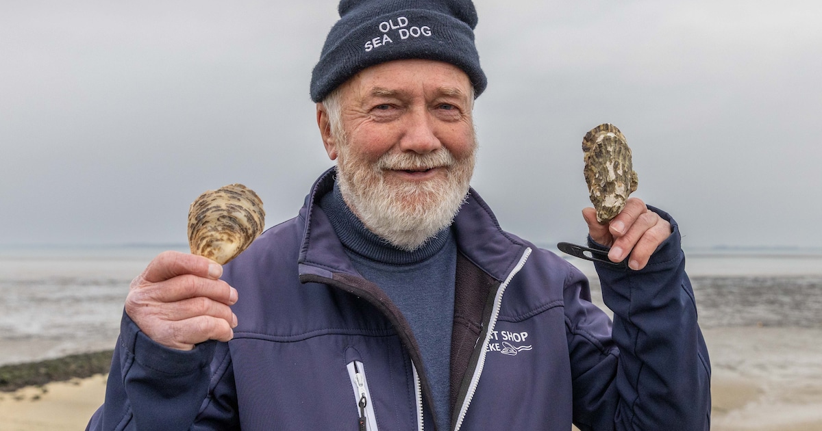 De oester is nu ‘retepopulair’: Randstedelingen trekken er massaal voor ...