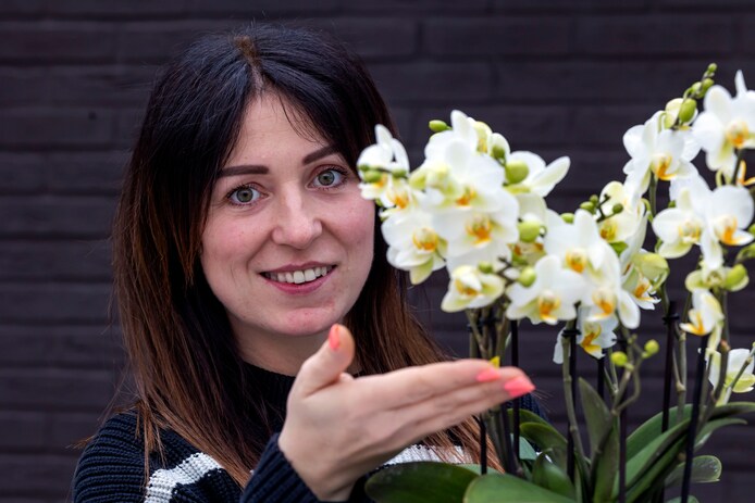 Kwekers verrast: Dua Lipa poseert zwoel bij Hollandse orchidee: ‘Nu wel ...