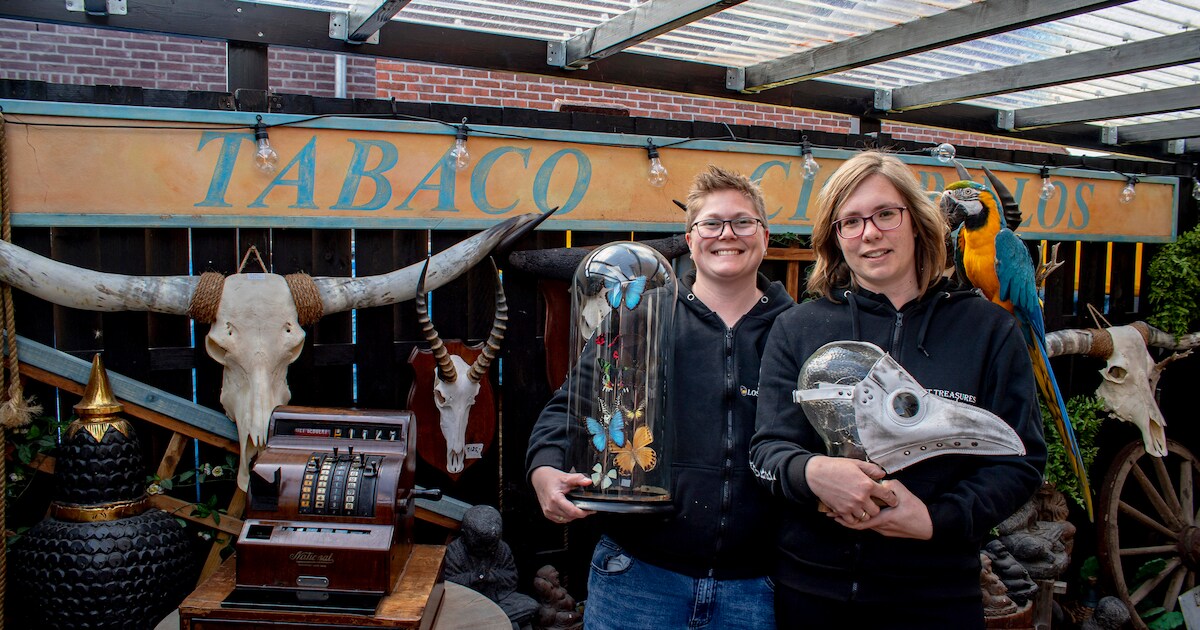 Mummyhoofd, walruskop of opgezette vleermuis nodig? Wendy en Angelique ...