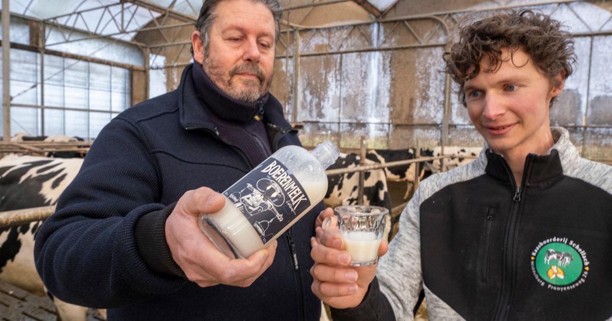 Cees en Niels proosten op hun nieuwe drankje Boerenmelklikeur, gemaakt ...