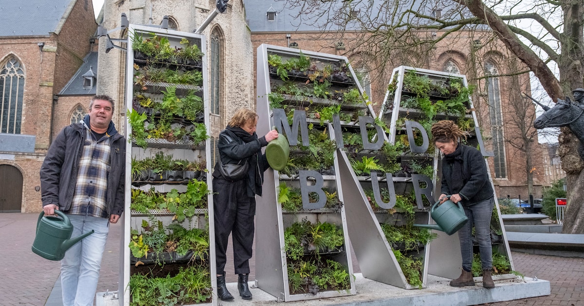 ‘I'm Middelburg’ gaat de hele stad rondreizen: ‘We hopen dat iedereen het te gek vindt ...