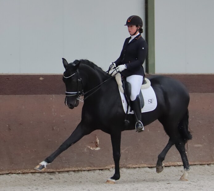 Dressuuramazones De Frel en Osté pakken de prijzen in Nieuw- en Sint ...