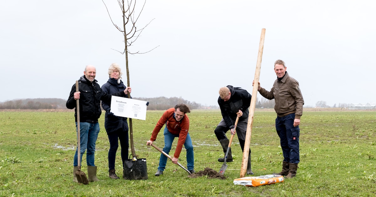 Veehoudersfamilie De Hoop plant een sta-in-de-weg boom met een missie ...