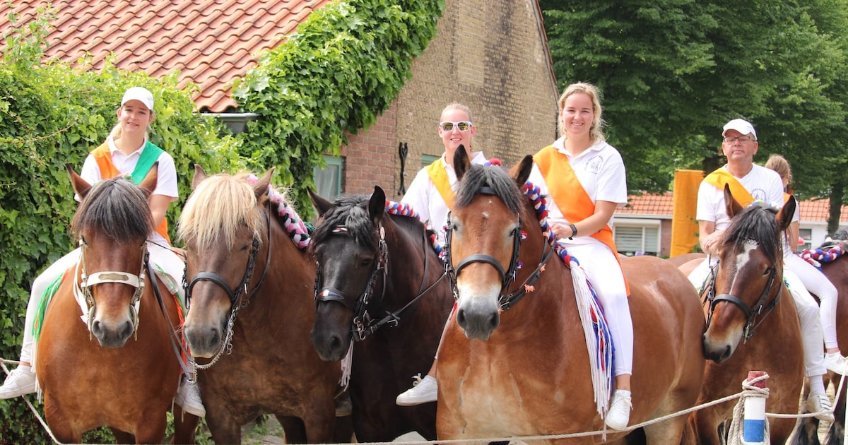 Lesje rinkrieën door Julia Crucq van de Zeeuwse Ringrijdersvereniging ...