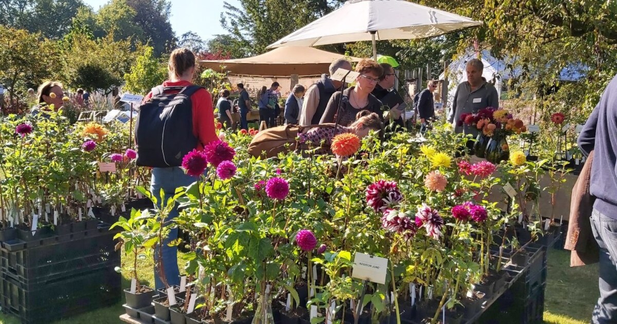 Van silent disco tot struinen in de tuin: onze 5 tips voor een herfstig ...