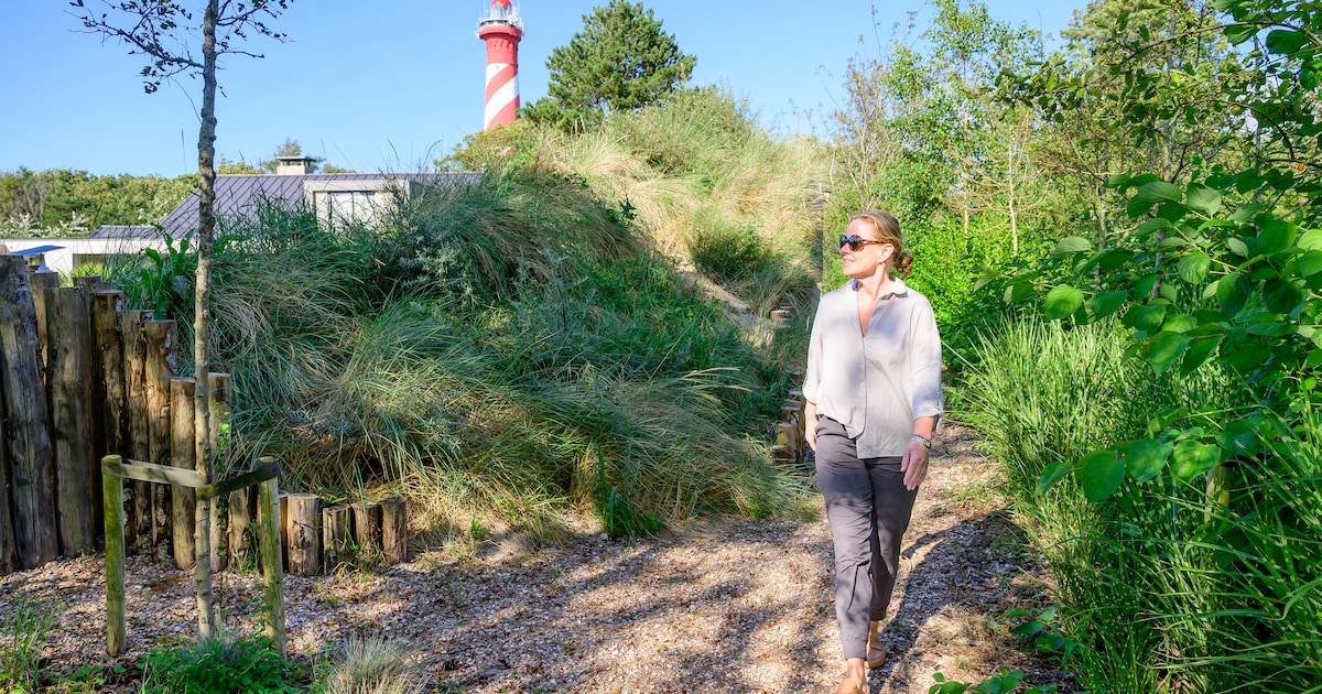 Strandpalen en decoratie-meeuwen; de opmars van de duintuinen in ...