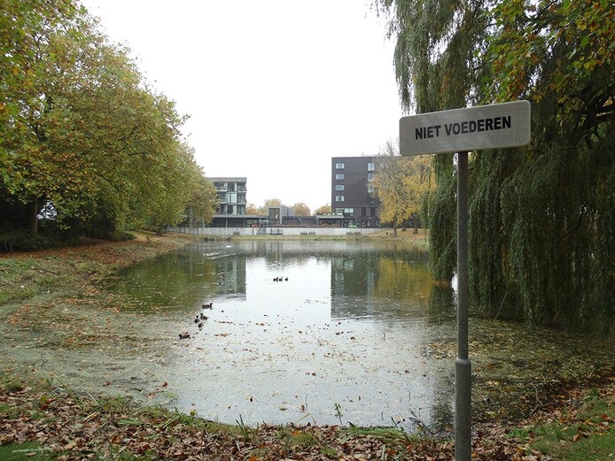 Man zwemt naakt in vieze vijver Terneuzen, vlucht het dak op en moet ...