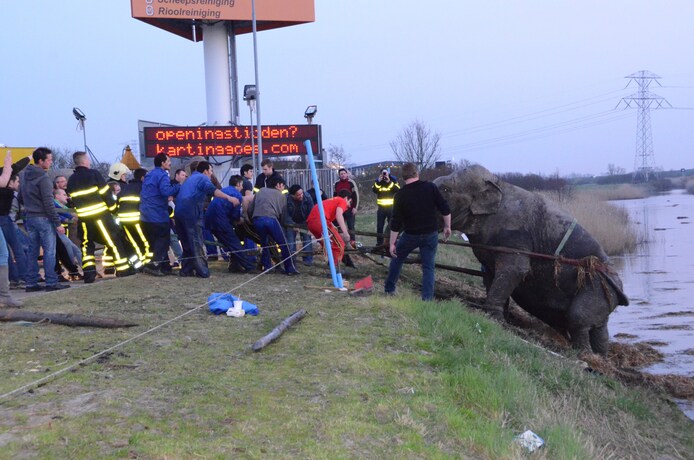 Leo zwaait na vijftig brandweerjaren af: ‘De redding van een olifant ...
