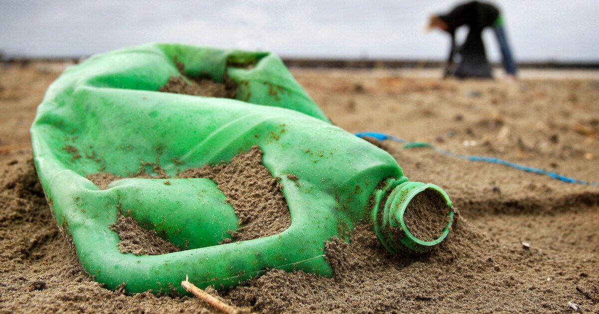Dat is schrikken: volgens Stichting Noordzee zijn de Zeeuwse stranden ...