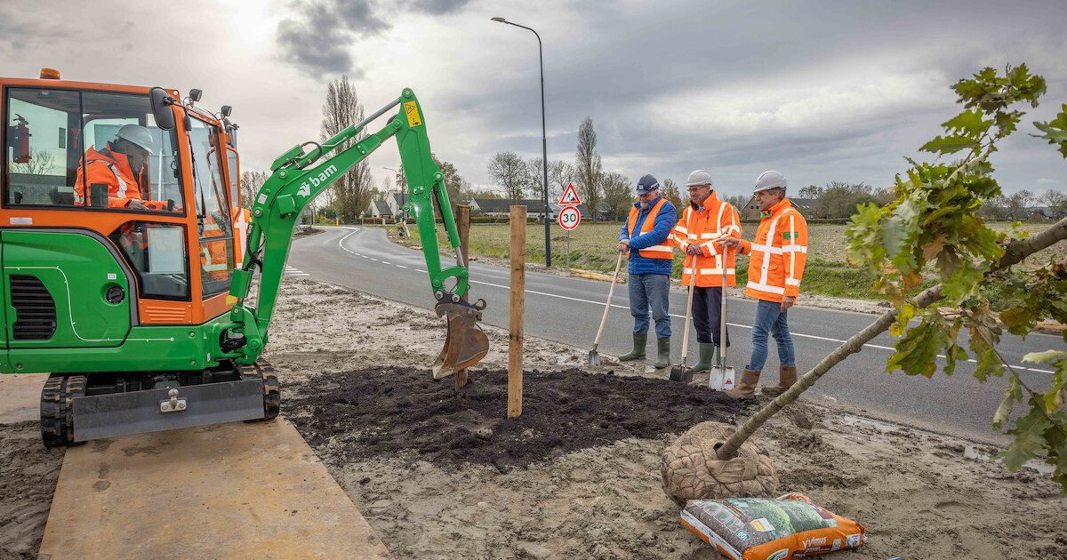 In de Zak van Zuid-Beveland timmeren ze letterlijk aan de weg: ‘Moet je ...