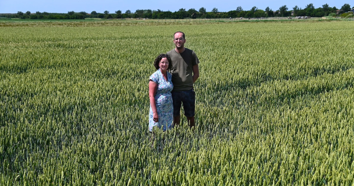 Veere maakt volop plannen voor de grond van Jasper en Rian, maar: 'Er is nooit iemand met óns ...