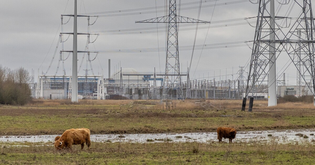 Borsele opnieuw onaangenaam verrast door TenneT: ‘Dit verbaast ons’ | Borsele | pzc.nl