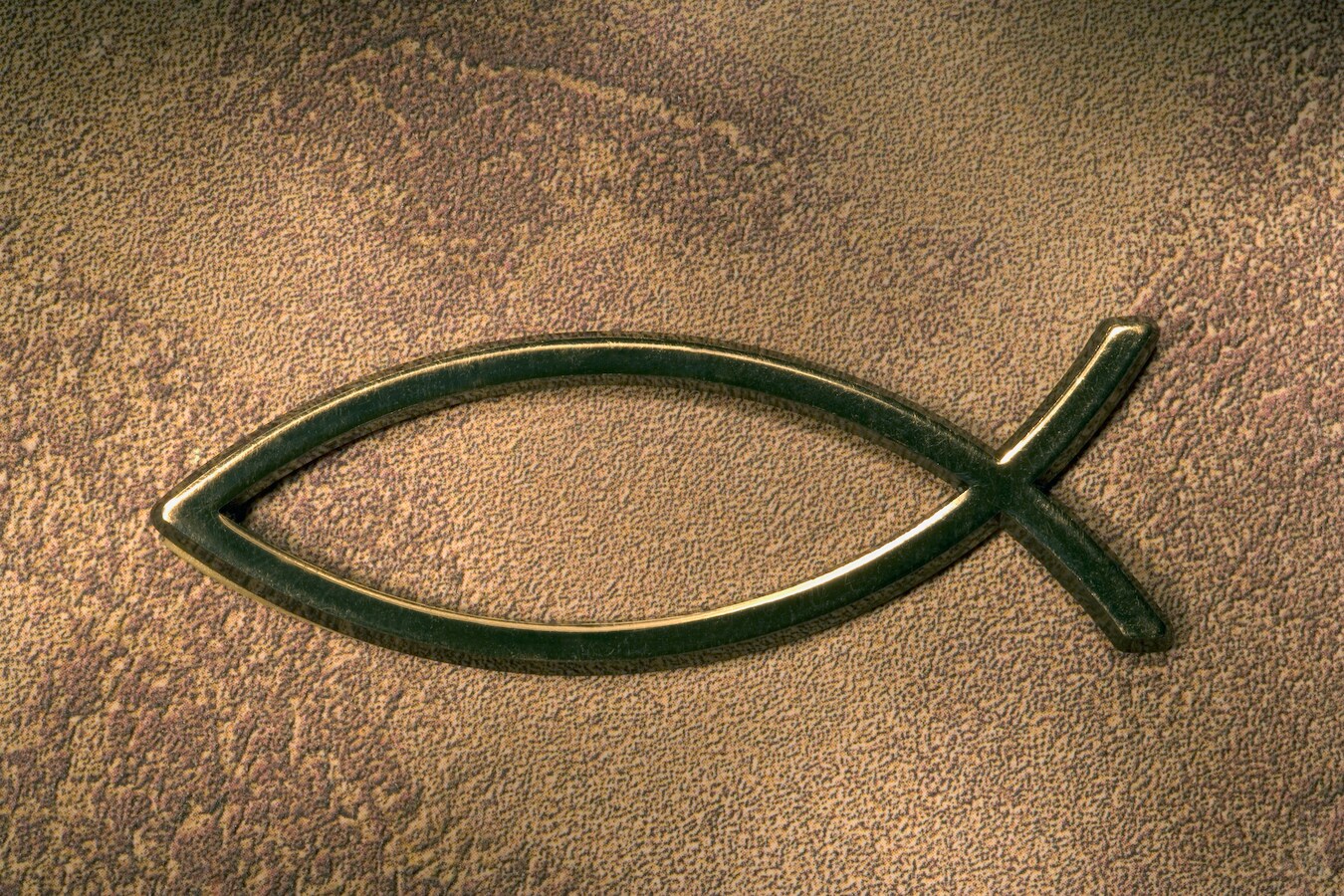 Sommige auto’s hebben een visje achterop en dit is de reden | Foto | pzc.nl