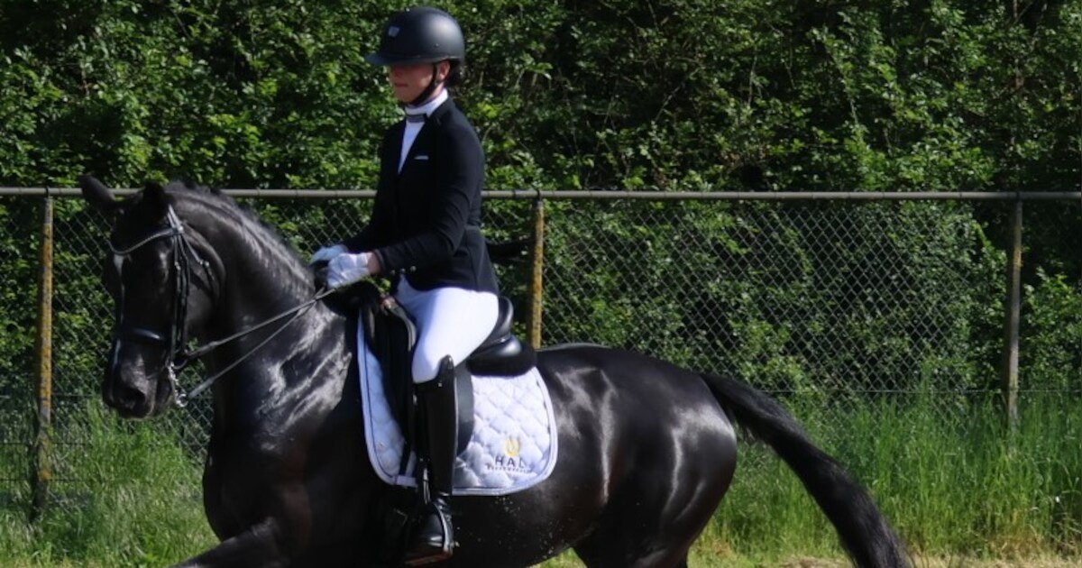 Van Giesen heeft met zadelmakke Lahurona lot uit loterij | Sport in ...