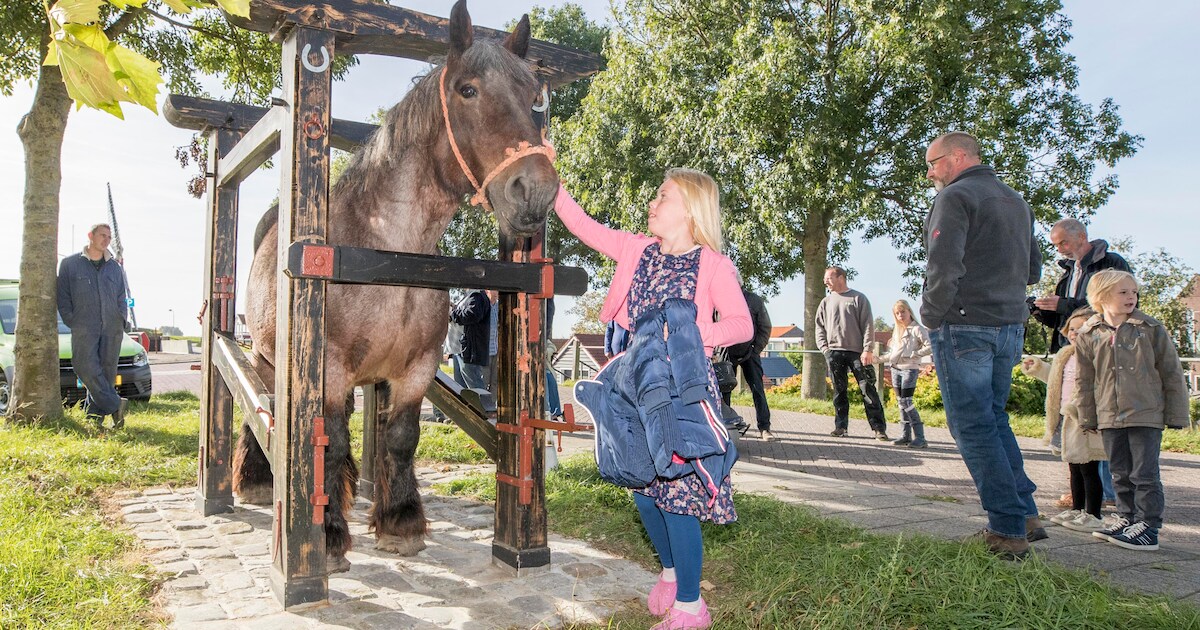 Ooit stonden er honderden in Zeeland, nu nog 41: ‘Travaljes zijn het ...